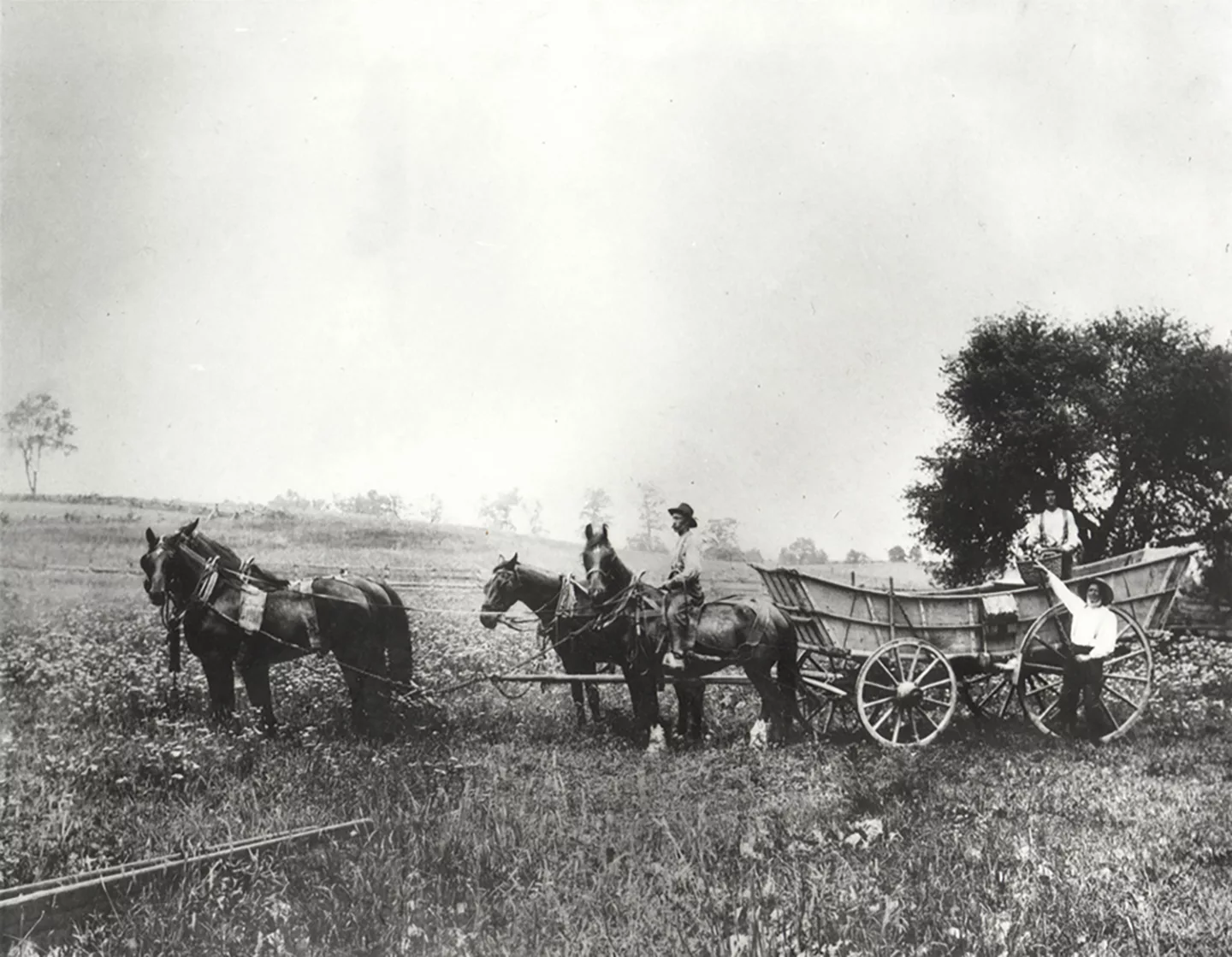 Transportation In The 1800s Istory Of Photography Photography As